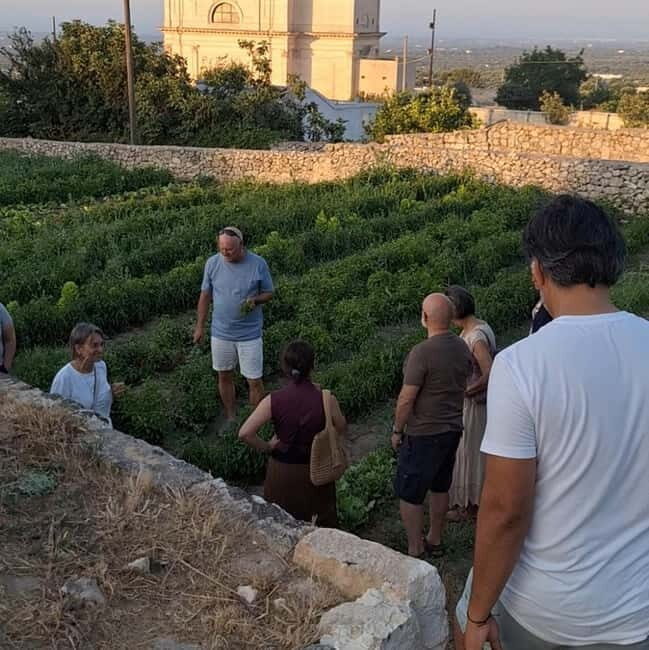 Guided visit to the Medieval Gardens of Ostuni - Experience Quality and Value