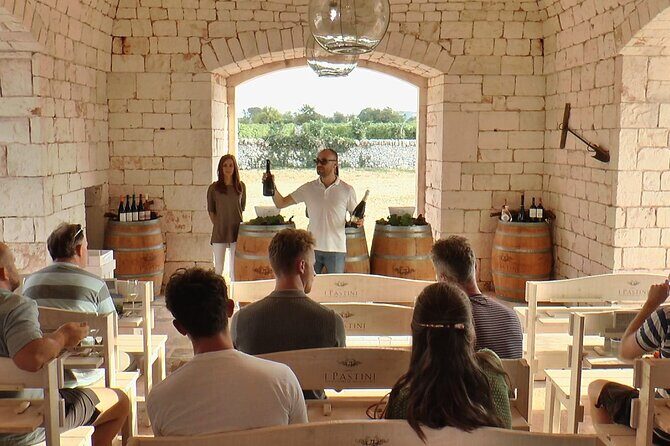 Guided Visit to the Vineyard with Wine Tasting - Who Will Love This Tour?