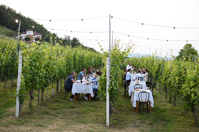 Guided Walk and Lunch in the Vineyard in Alba - Guided Walk and Lunch in the Vineyard in Alba: An Authentic Taste of the Langhe Region