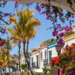 Guided walking tour of Puerto de Mogán - What You Can Expect on the Tour