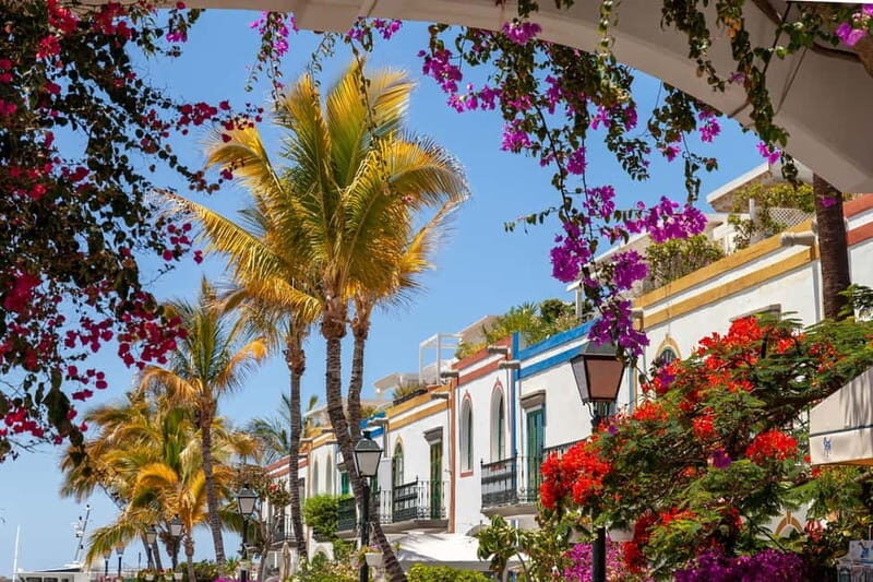 Guided walking tour of Puerto de Mogán - What You Can Expect on the Tour