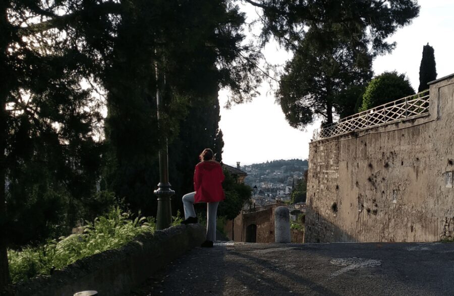 Guided Walking Tour on Verona Hillside - What Makes This Tour Stand Out?