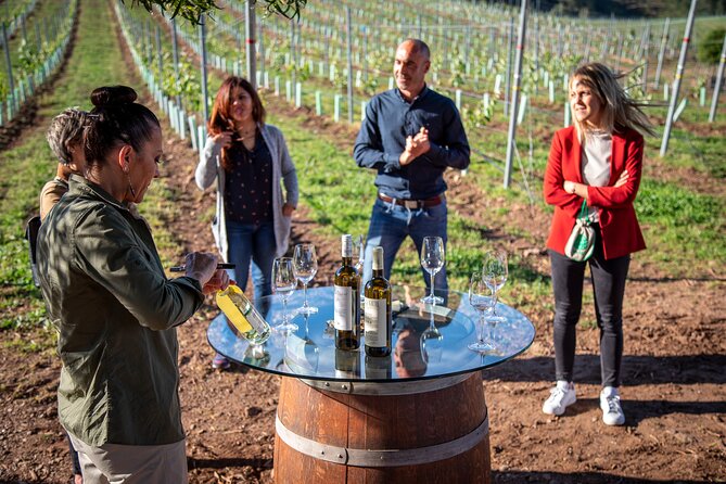 Guided Winery tour and Wine tasting in Pontevedra - Key Points