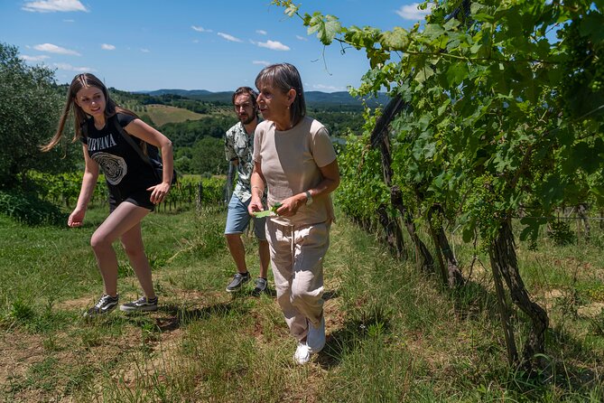Guided Winery Tour and Wine Tasting in Siena - Introduction: A Genuine Tuscan Escape for Wine Aficionados and Curious Travelers