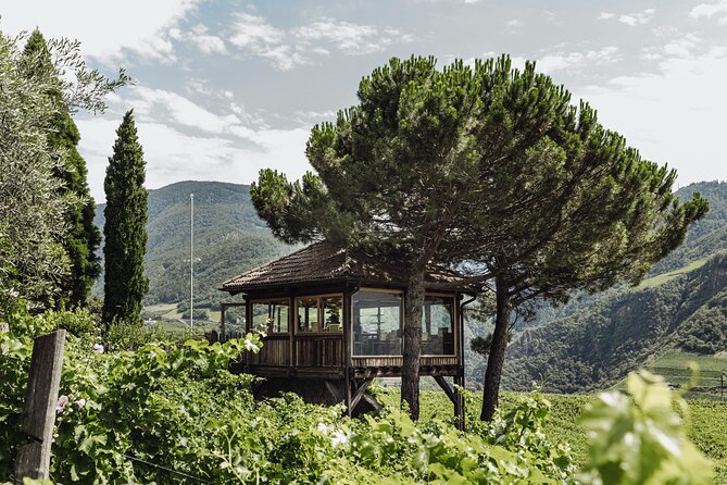 Guided winery tour with tasting in Bolzano at the SKYWINE PAVILLON - Introduction