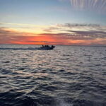 Gulf of Morbihan cruise with/without stopover on Île-aux-Moines - A Closer Look at the Itinerary and Highlights
