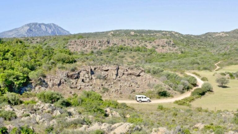 Gulf of Orosei: 4X4 tour between Mountains & Beaches - Practical Details That Matter