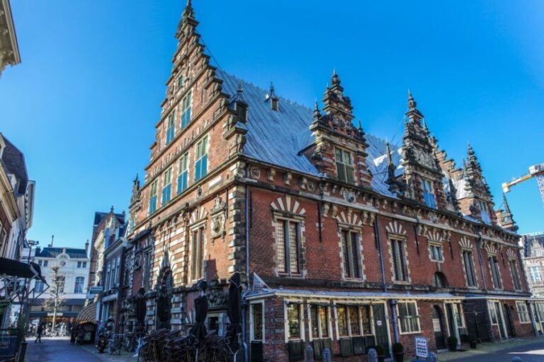 Haarlem: City Highlights Walking Tour - Practicalities and Tips