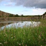 Hadrian's Wall: 4.5-Hour Guided Tour - Practicalities and Logistics