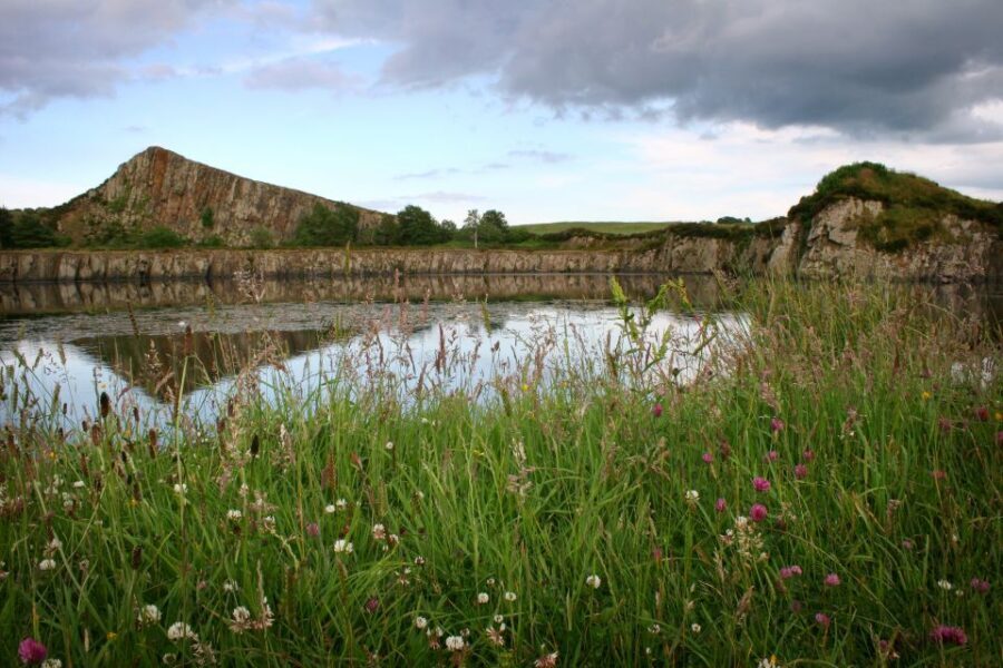 Hadrian's Wall: 4.5-Hour Guided Tour - Practicalities and Logistics
