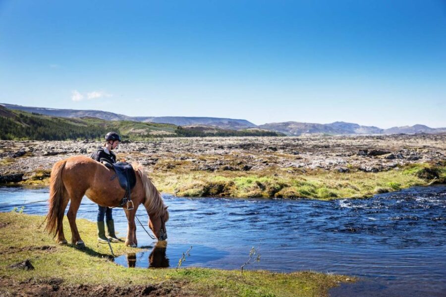 Hafnarfjörður: Horseback Riding Tour in Reykjavik Area - The Ride: What to Expect