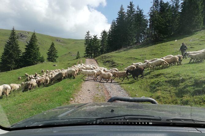 Half-Day 4x4 Tour in the Eastern Carpathians - Authentic Experiences That Matter