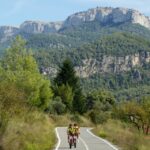 Half-Day Bike Tour from Salou - The Itinerary: What to Expect
