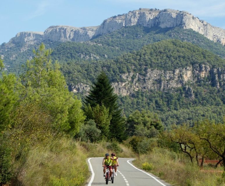Half-Day Bike Tour from Salou - The Itinerary: What to Expect