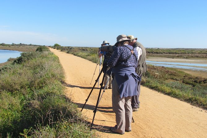 Half-day birdwatching around Faro - Key Points