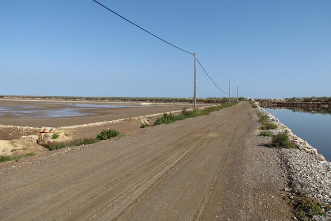 Half-day birdwatching around Tavira - An In-Depth Look at the Birdwatching Tour Around Tavira
