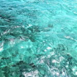 Half-Day Blue Lagoon and Trogir boat tour from Split - Authentic Feedback from Travelers