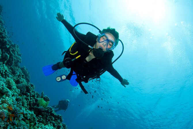 Half day boat diving experience for beginners in Kos Greece - Introduction: An Honest Look at the Half-Day Boat Diving Experience in Kos