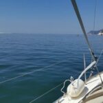 Half-Day boat experience - Comporta - Troia - Setubal - A Closer Look at the Itinerary and Highlights