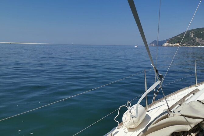 Half-Day boat experience - Comporta - Troia - Setubal - A Closer Look at the Itinerary and Highlights
