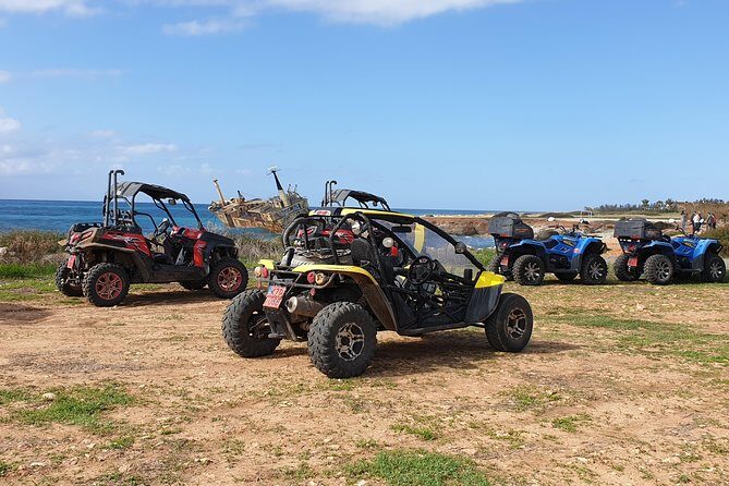 Half-Day Buggy Safari to Akamas Peninsula with Lunch - Why This Tour Offers Good Value