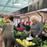 Half-Day Country Market Tour on Madeira Island - Who Will Enjoy This Tour?