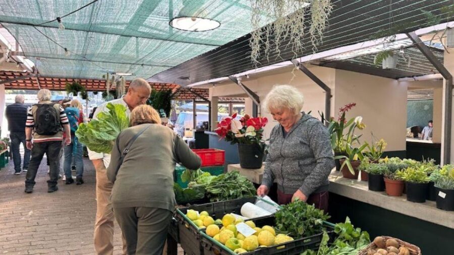 Half-Day Country Market Tour on Madeira Island - Who Will Enjoy This Tour?
