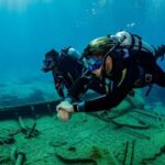 Half Day Dive Trip for Certified Divers - The Logistics: From Painless Paperwork to Post-Dive Comfort