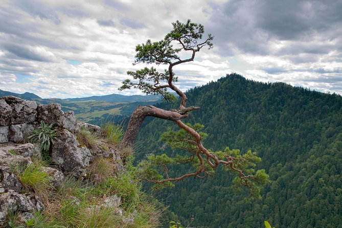 Half-Day Dunajec River Rafting tour from Krakow - Key Points