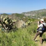 Half-day east coast hike in Ischia island with pick-up - A Detailed Look at the East Coast Hike