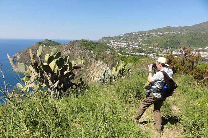 Half-day east coast hike in Ischia island with pick-up - A Detailed Look at the East Coast Hike