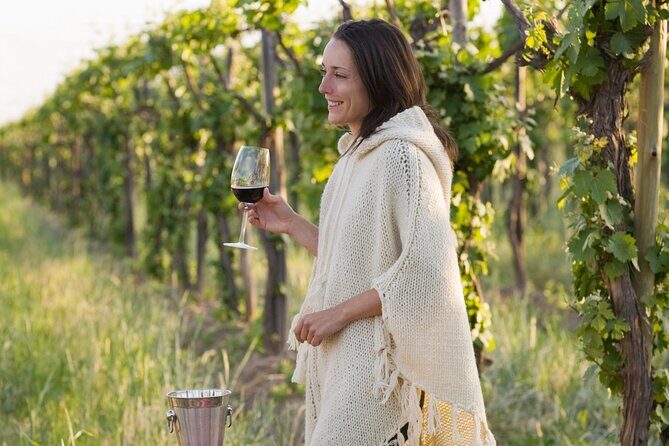 Half-Day Gramma Wine Tasting Tour in Iasi - A Scenic Tour of Iasi’s Main Attractions