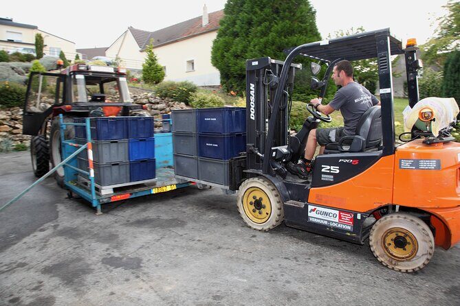 Half Day Grape Harvest Experience with Tasting in Epernay - Value for Money