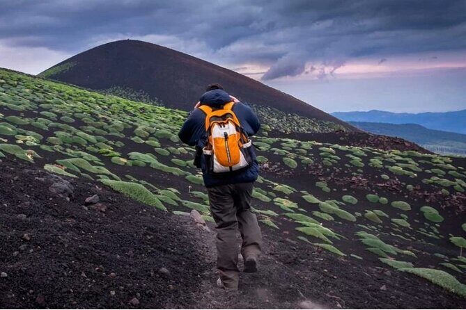 Half Day Guided Tour in Mount Etna (3000 meters) - Who Should Book This Tour?