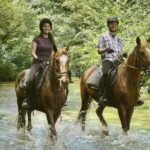 Half-Day Horseback Ride in Tuscany - Who Should Book This Experience?