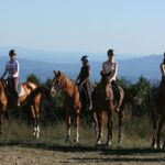 Half-Day Horseback Ride in Tuscany for beginner riders - Practical Details: What You Need to Know