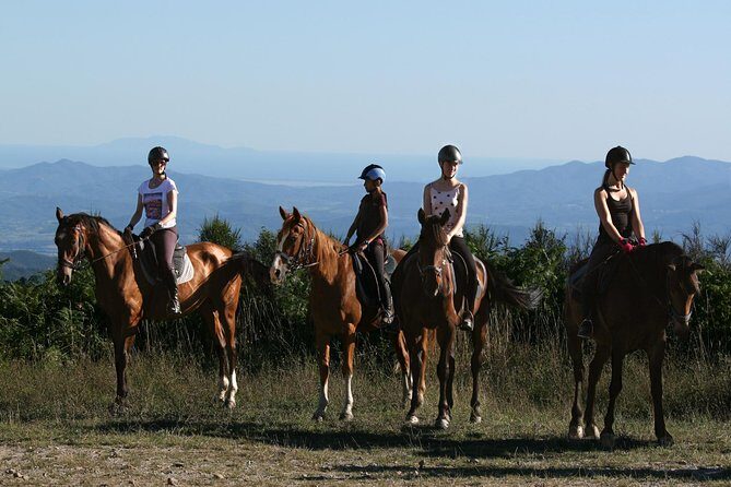 Half-Day Horseback Ride in Tuscany for beginner riders - Practical Details: What You Need to Know