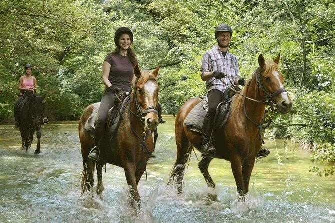 Half-Day Horseback Ride in Tuscany - Who Should Book This Experience?