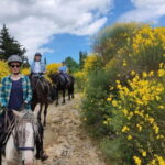 Half-day horseback riding day trip in Tuscany - Climbing Montieri for Panoramic Views