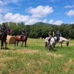 Half-day horseback riding day trip in Tuscany for beginners - Discovering Tuscany on Horseback: A Genuine Guide