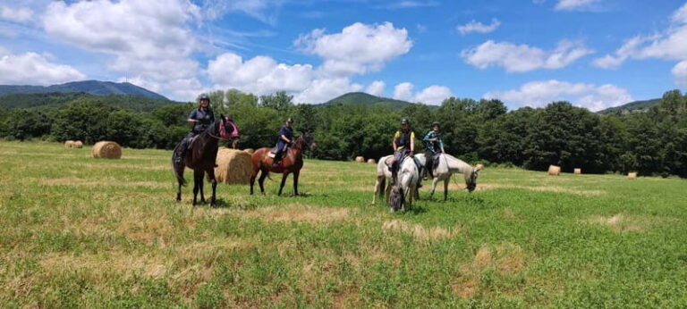 Half-day horseback riding day trip in Tuscany for beginners - Discovering Tuscany on Horseback: A Genuine Guide