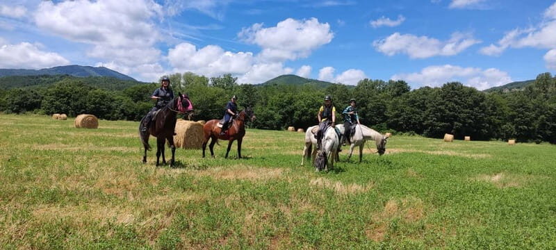 Half-day horseback riding day trip in Tuscany for beginners - Discovering Tuscany on Horseback: A Genuine Guide
