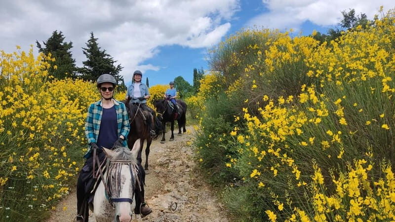 Half-day horseback riding day trip in Tuscany - Climbing Montieri for Panoramic Views