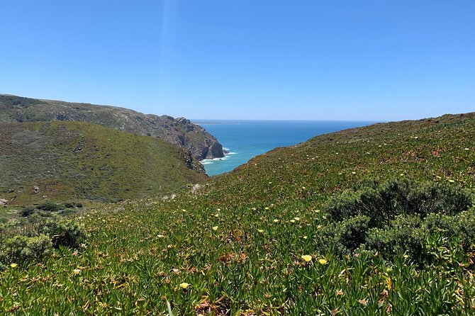 Half Day in Sintra and Cabo da Roca with Wine Tasting - Discovering Sintra and Cabo da Roca: A Practical Guide to a Memorable Half-Day Tour