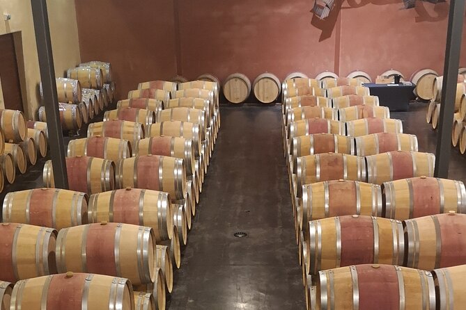Half-day in the Médoc : 2 wineries & 6 wines - Discover the Charm of Bordeaux’s Médoc on a Half-Day Tour