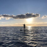 Half Day: Islet tour, snorkeling and Stand up Paddle. - What Makes This Tour Stand Out?