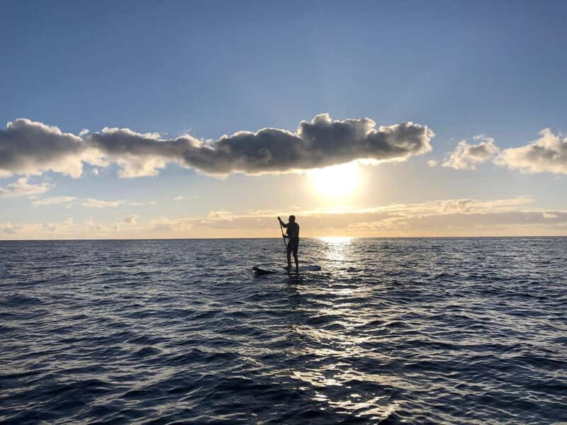 Half Day: Islet tour, snorkeling and Stand up Paddle. - What Makes This Tour Stand Out?
