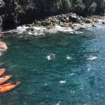 Half day kayak tours - Meeting Points, Timing, and Practicalities