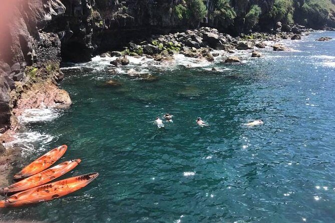 Half day kayak tours - Meeting Points, Timing, and Practicalities