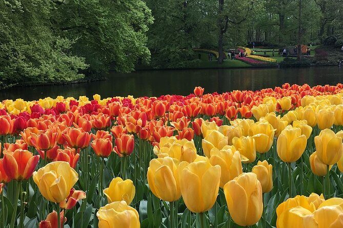 Half Day Keukenhof Tulip Paradise Trip from Amsterdam - Keukenhof: The Flower Wonderland